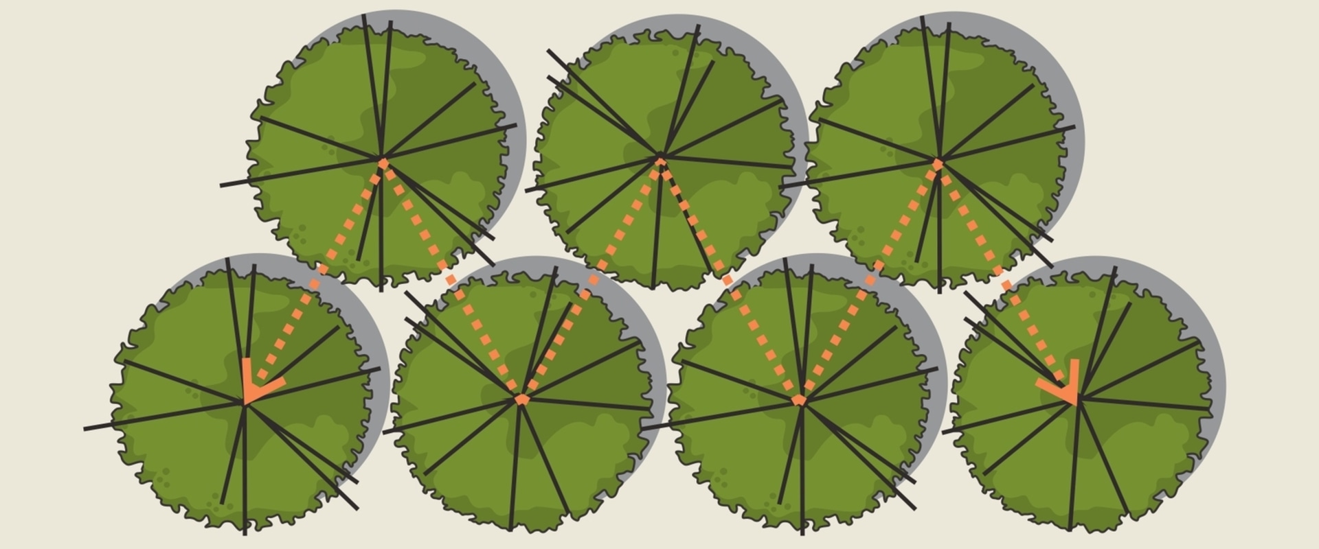 What are the 8 elements of landscape?
