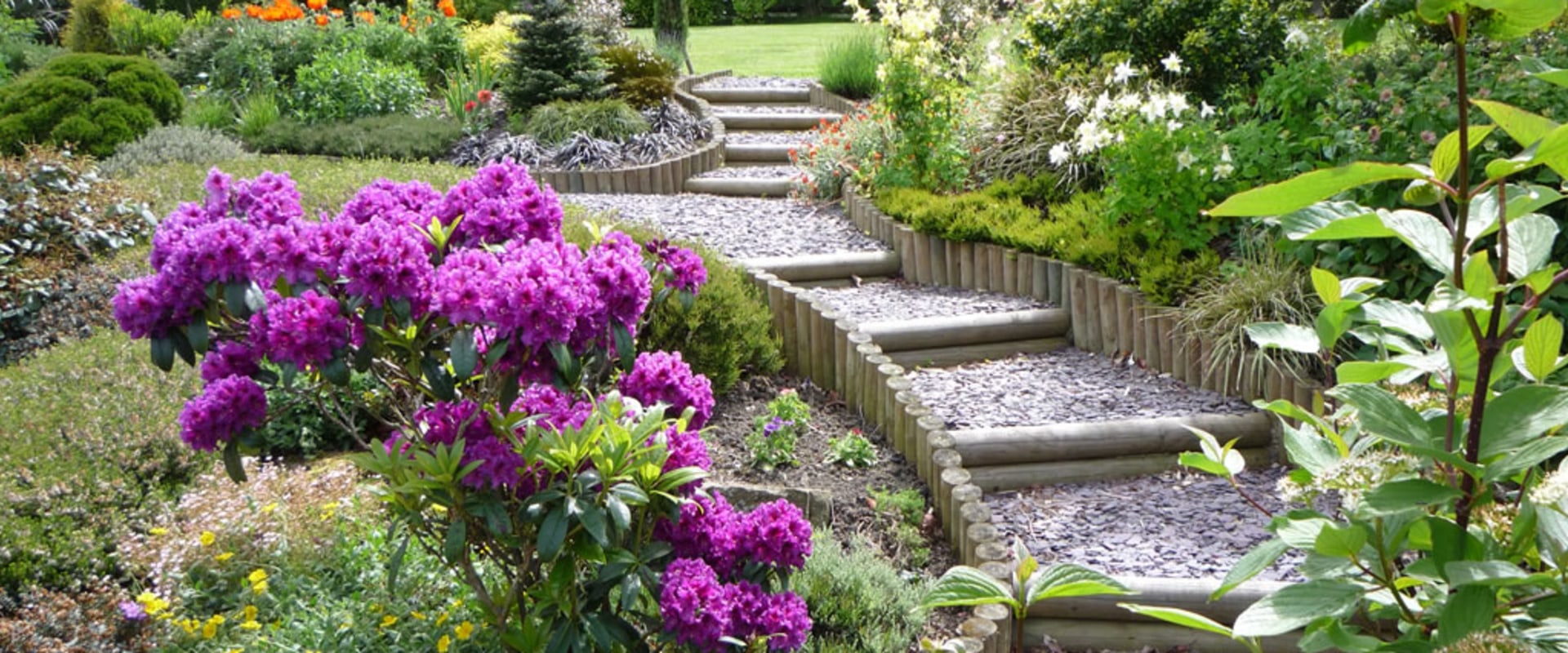 What are the five principles of landscape design?